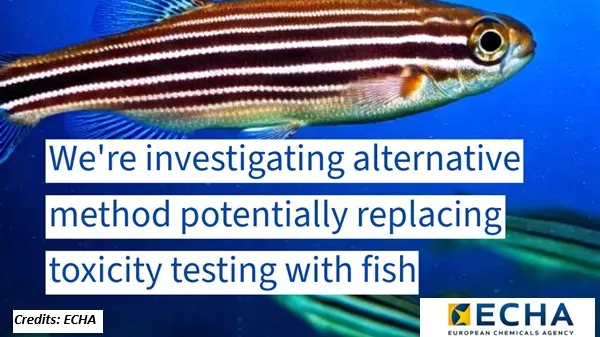 ECHA to Explore Alternative Method for Aquatic Toxicity Testing ...