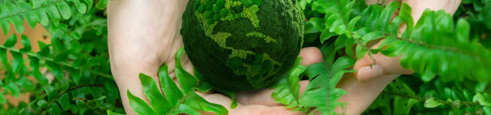 BASF Performance Materials Unveils Roadmap to Achieve Carbon Neutrality ...